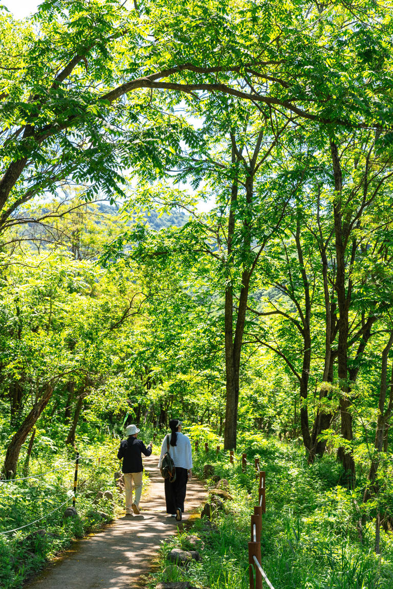 Yanggu DMZ: Exploring peace and history in Korea's divided landscape