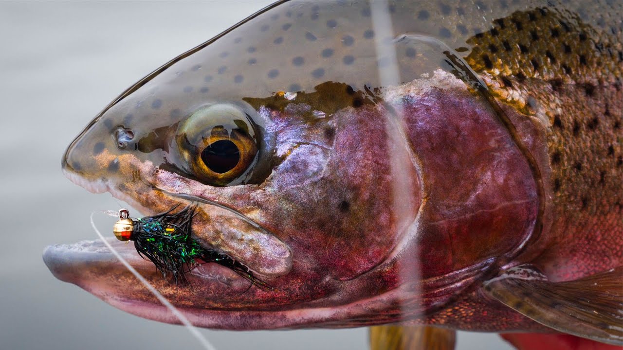 How to catch trout using micro flies!