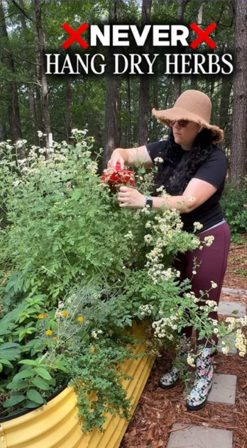 Stop hanging your herbs to dry: unpopular gardening opinion