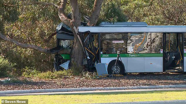 Harrowing new details emerge after a father was killed in a horror bus ...