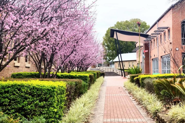 Sydney’s forgotten heart: Why Parramatta deserves a full day of your trip