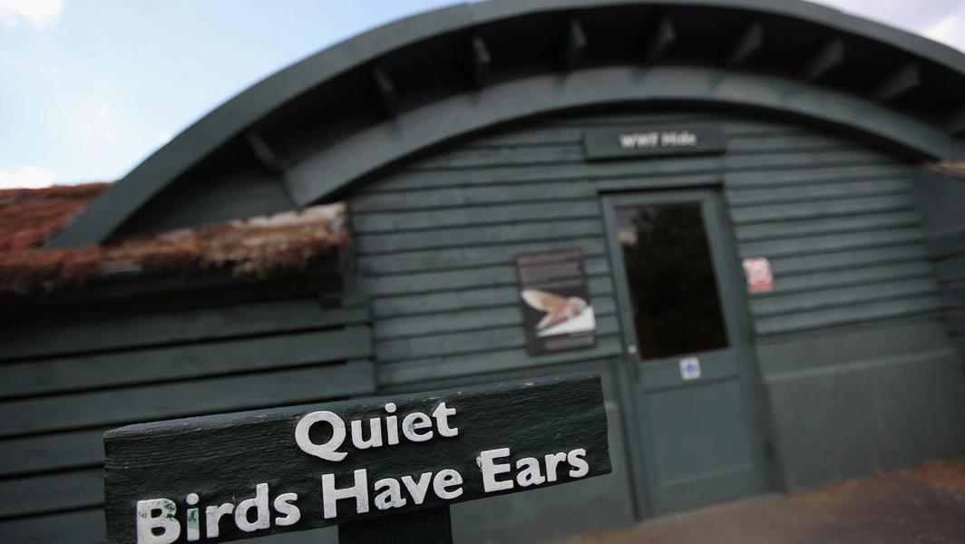 Jimmy's Farm named England's top large visitor attraction