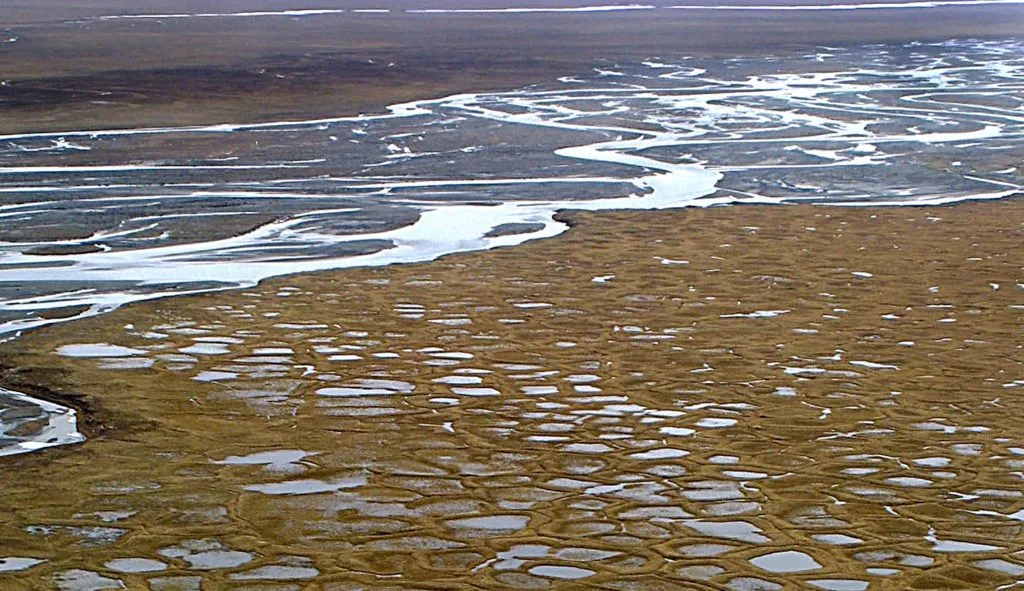 Little interest in first Trump lease sale in Alaska wildlife refuge ...