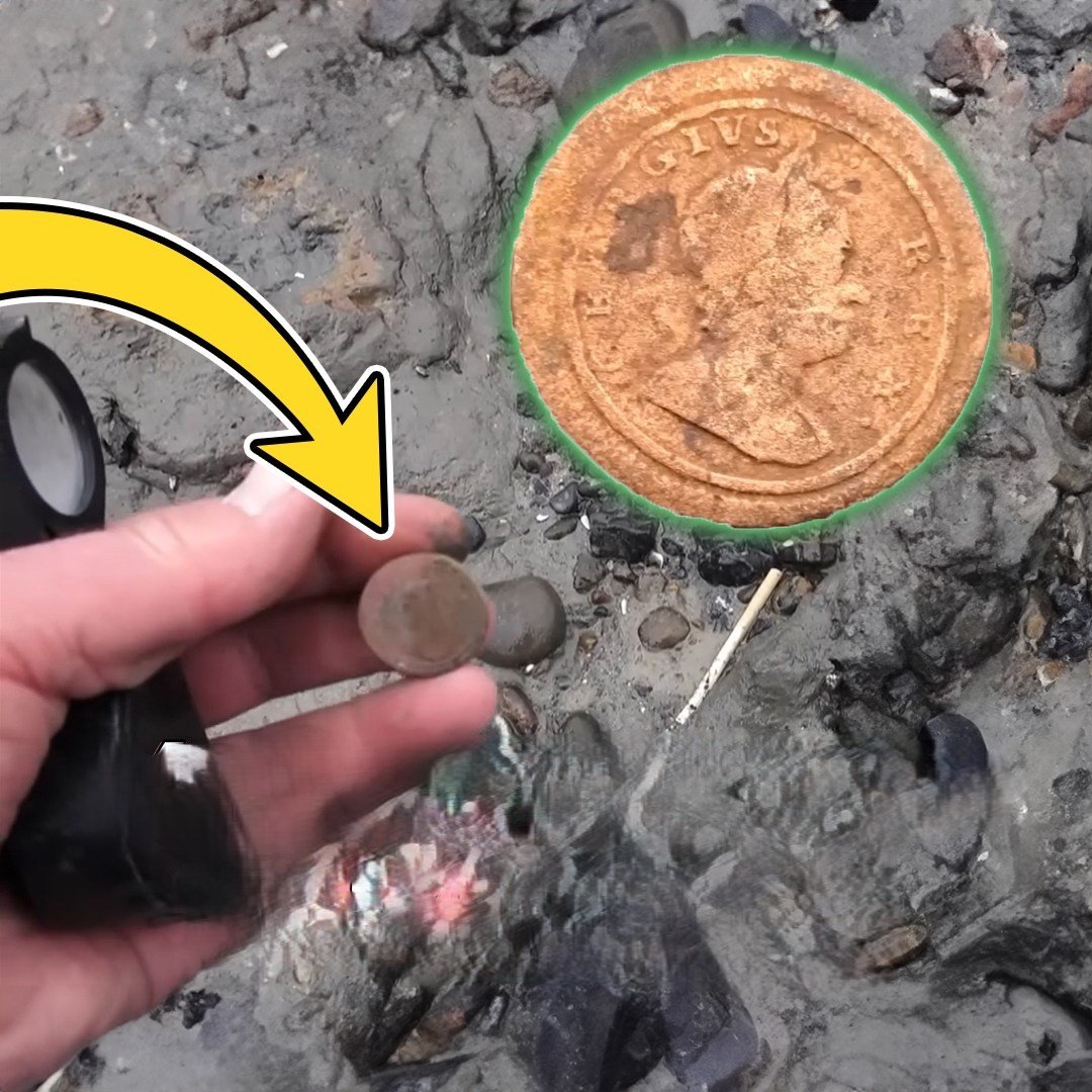 Finding two coins for my collection
