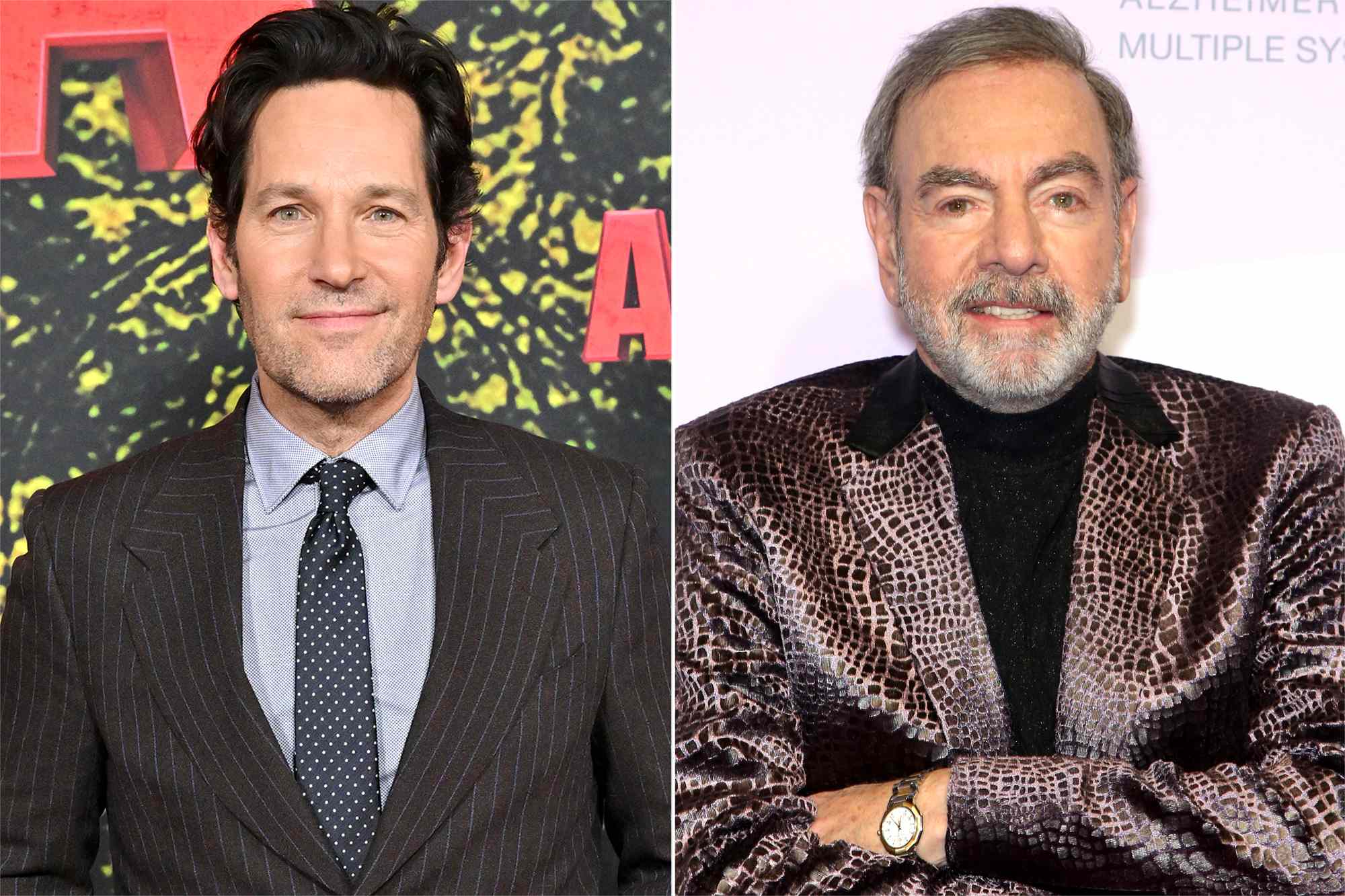 Paul Rudd details his 'perfect run-in' with Neil Diamond while DJ'ing a ...