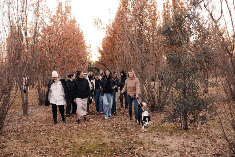 A look inside the growing Australian truffle tourism industry, where ...