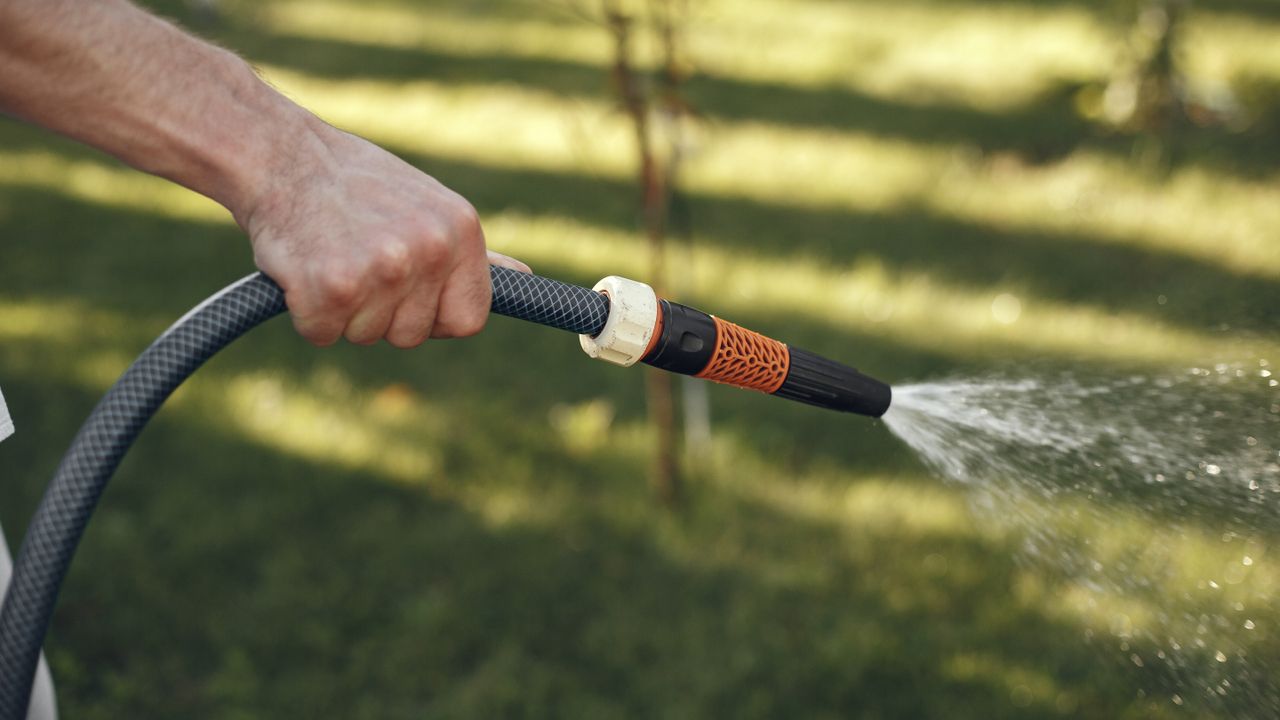 Gardeners are being urged to start collecting rainwater this weekend ...