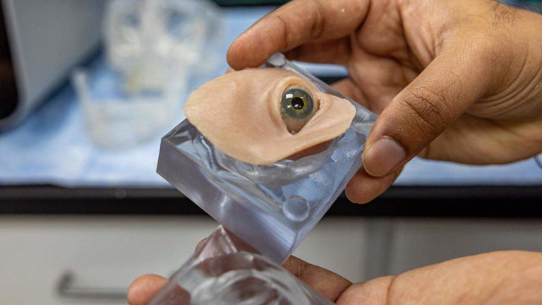 3D-printed bones? Science fiction comes to life at University of Miami ...