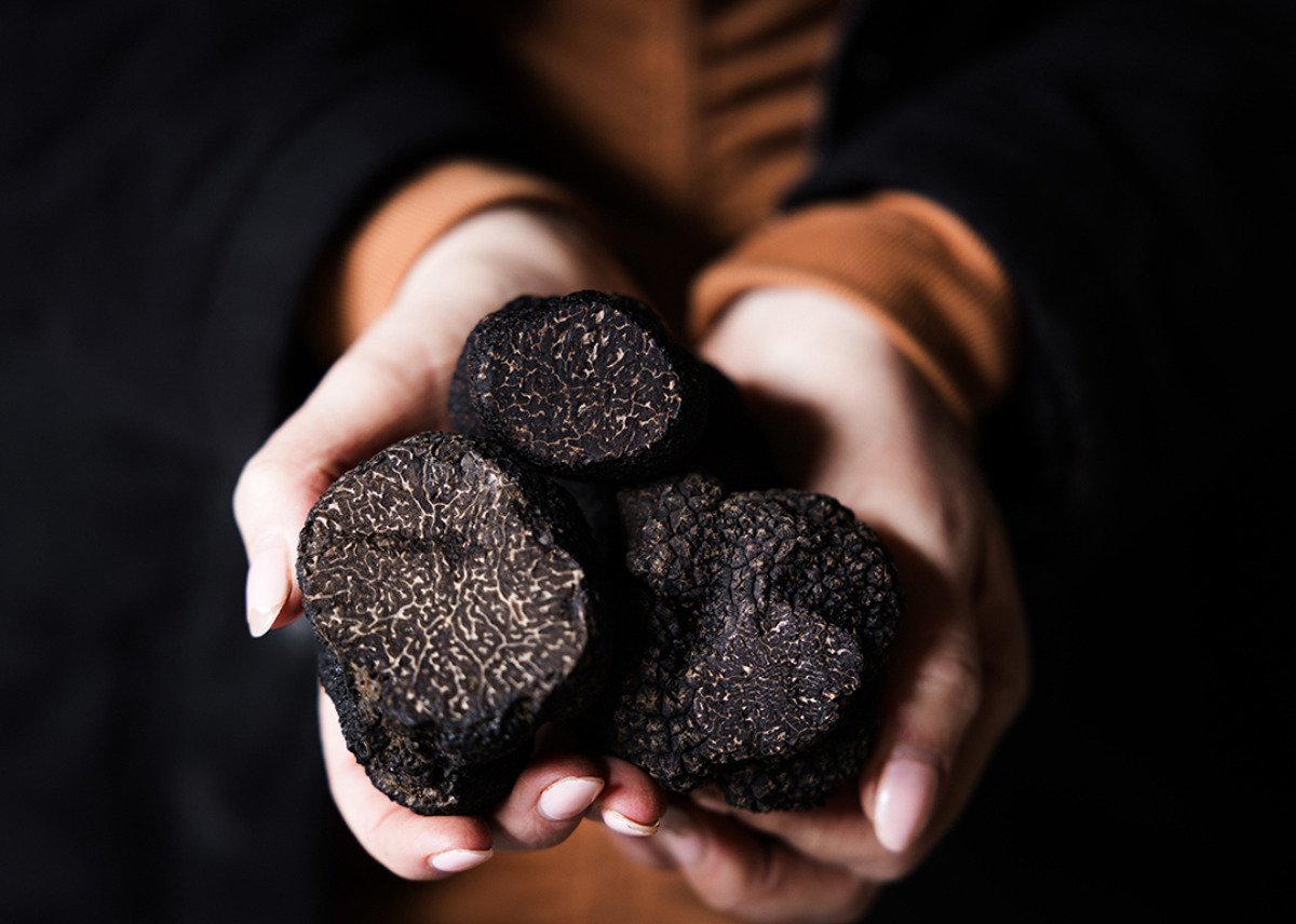 A look inside the growing Australian truffle tourism industry, where ...