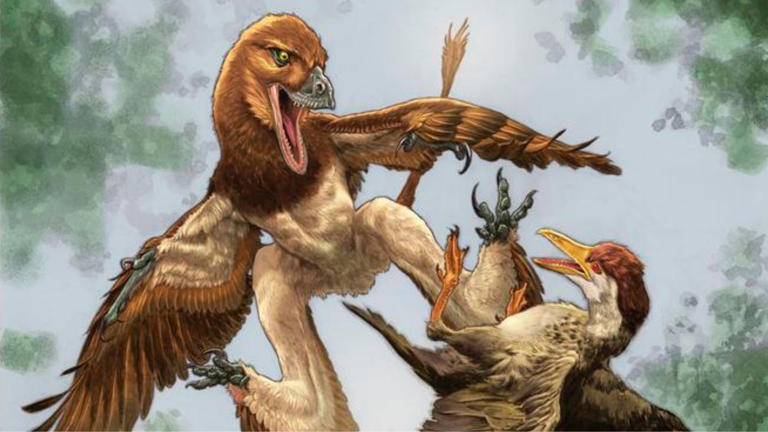 New species of four-winged dinosaur that preyed on early birds ...