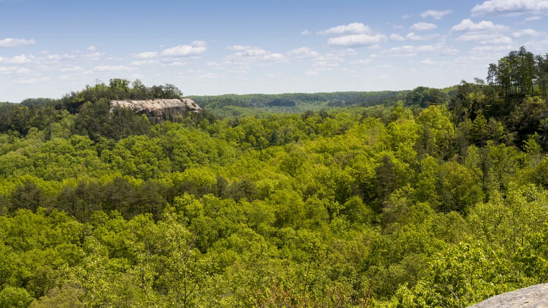 Exploring Kentucky’s Red River Gorge trails