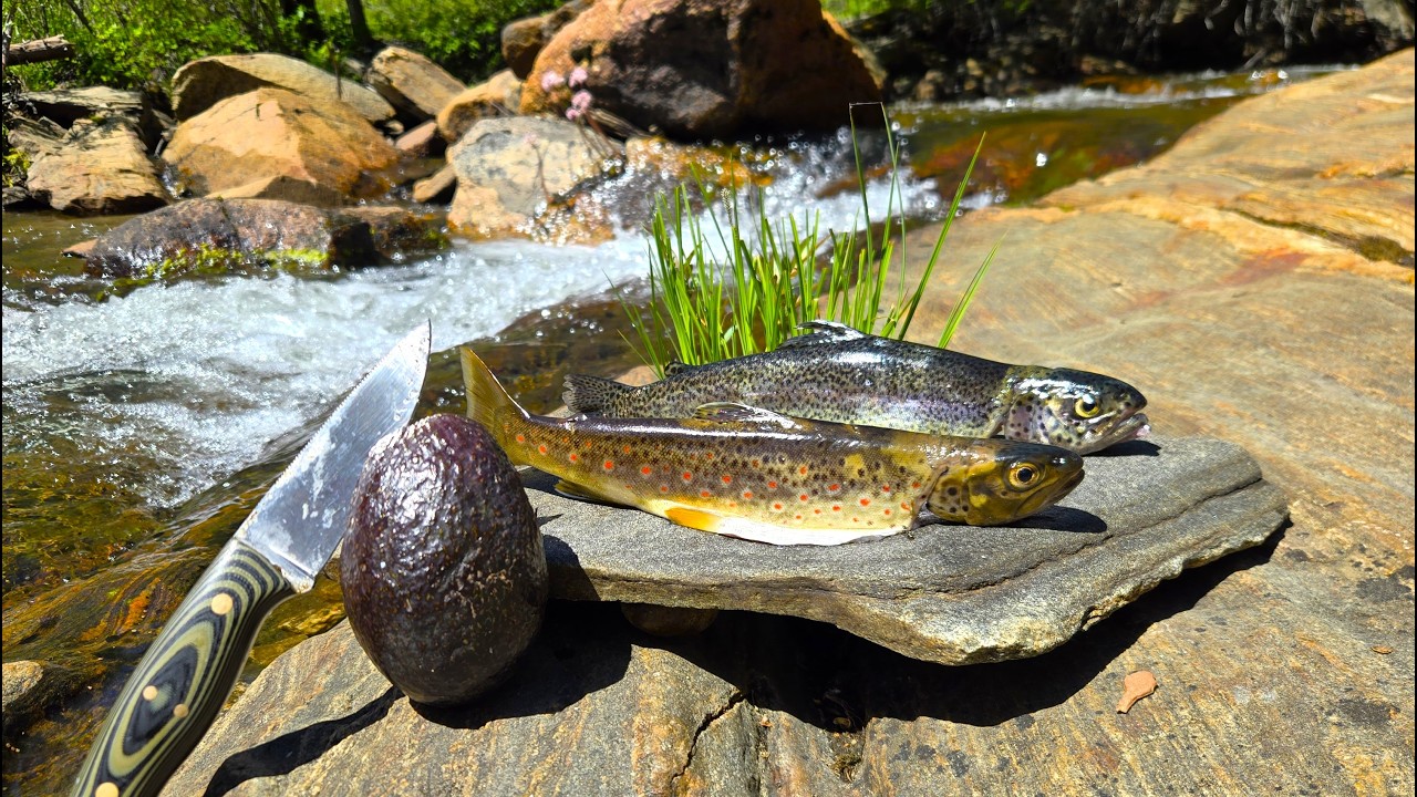 4000ft up - brown trout and rainbow trout catch and cook