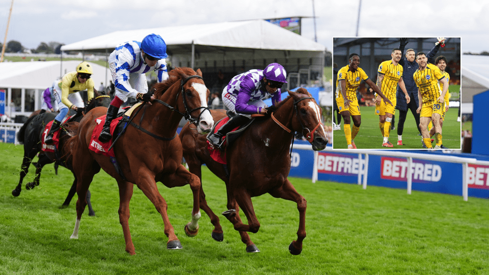 Horse owned by footballers James Milner, Lewis Dunk and Danny Welbeck ...