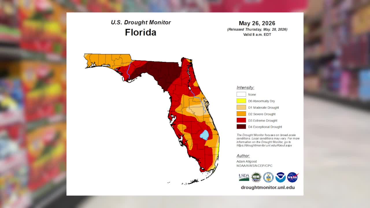 Florida may ban Fourth of July fireworks due to drought