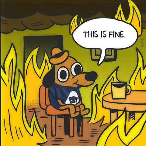 Pumas es víctima de los mejores memes luego de la renuncia de Efraín Juárez