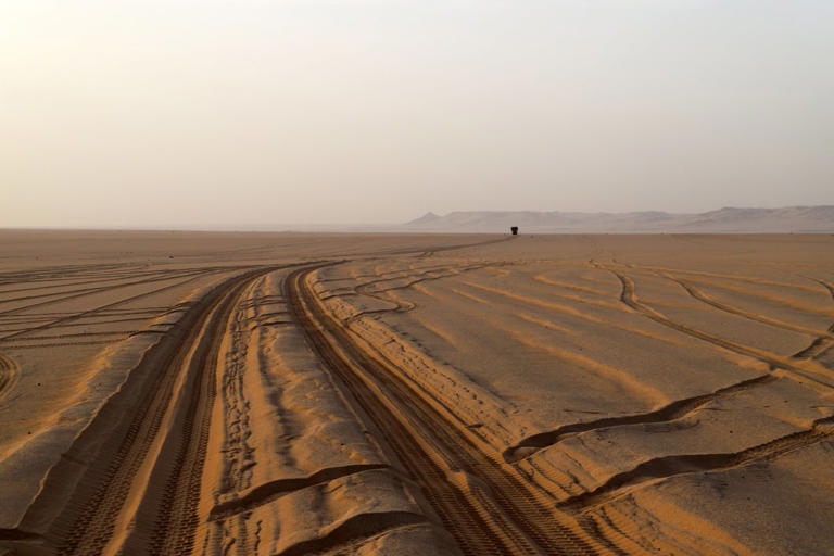At least 49 die of thirst after truck breaks down in Sahara Desert