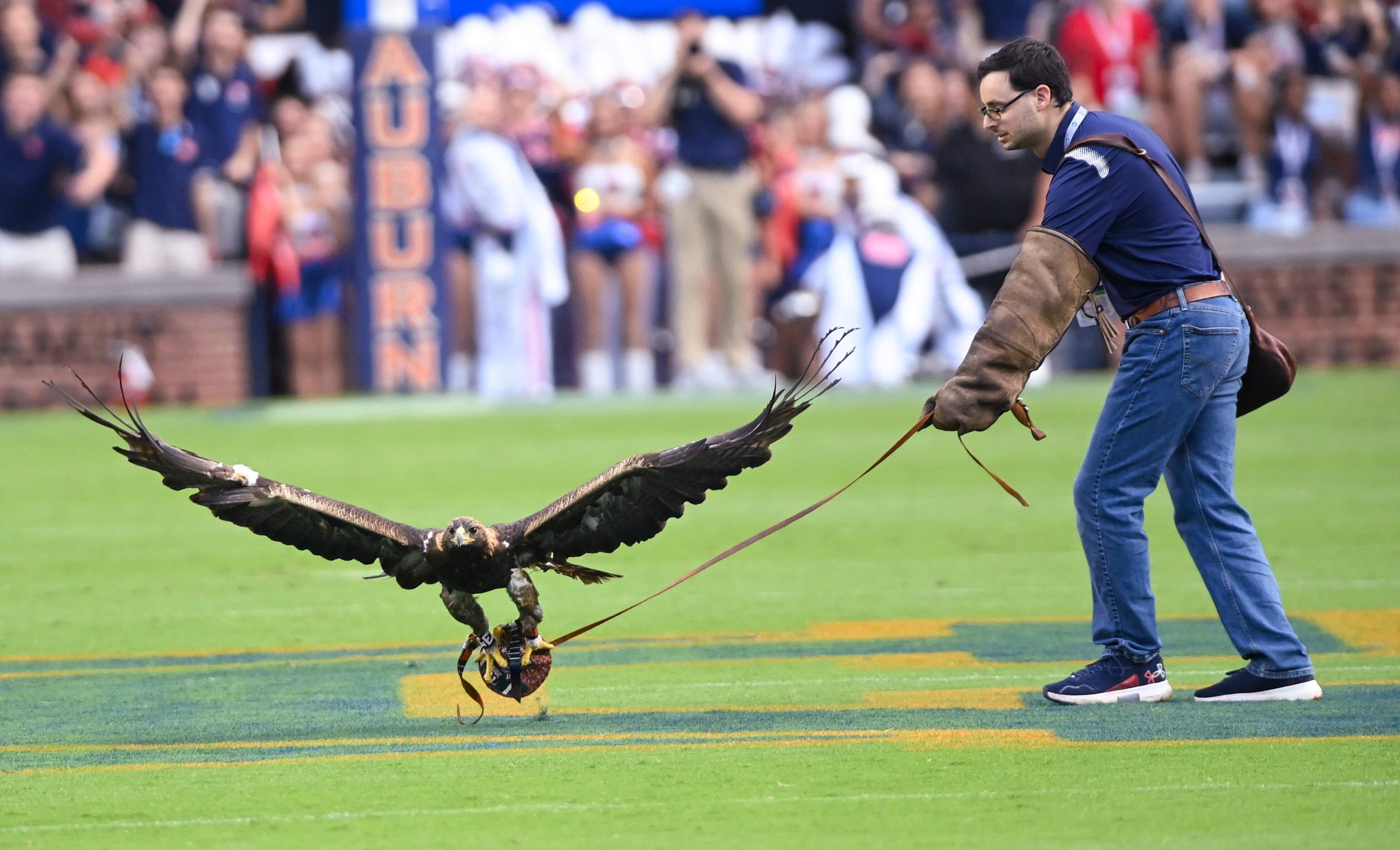 Auburn to do an eagle flight ahead of international soccer friendly in ...