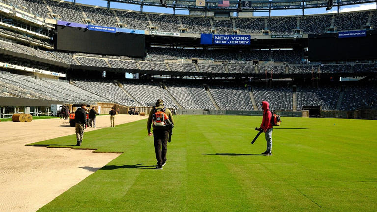 World Cup announcer says FIFA's grass mandate will be a 'huge ...