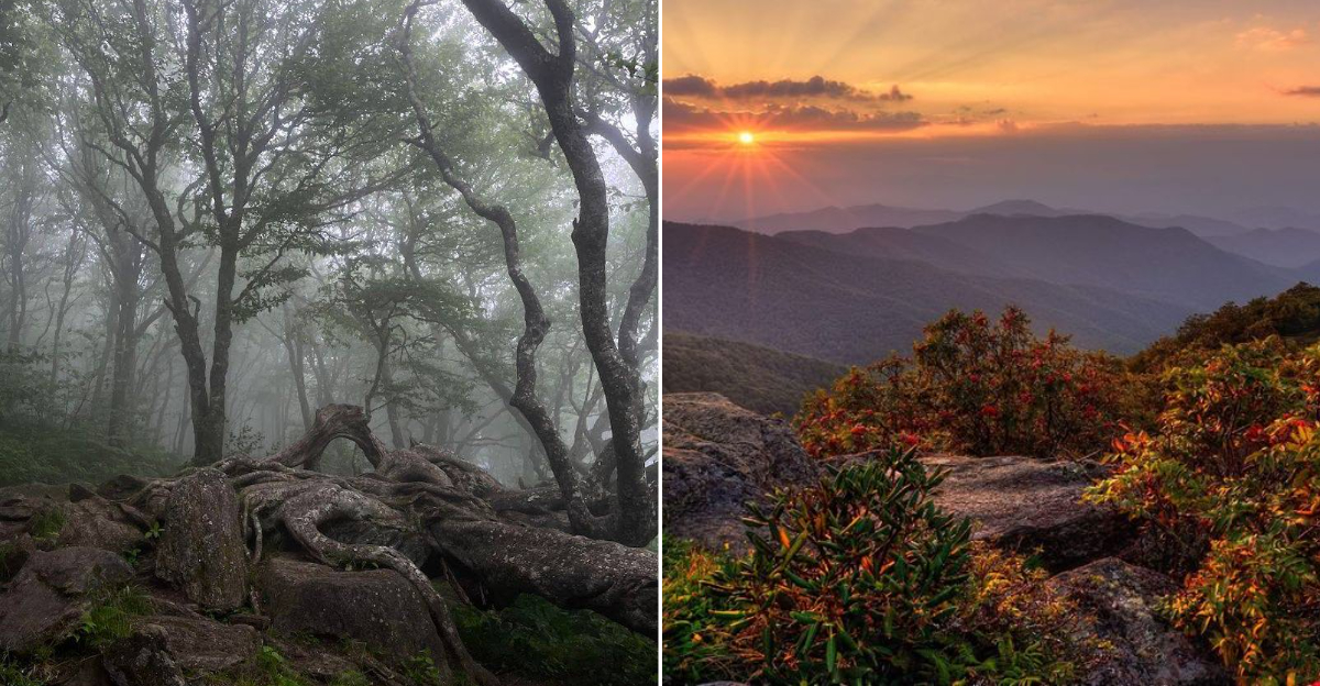 This fairytale North Carolina mountain trail turns an ordinary family ...