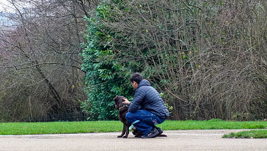 Viral dog videos blend humor, heart and human connection