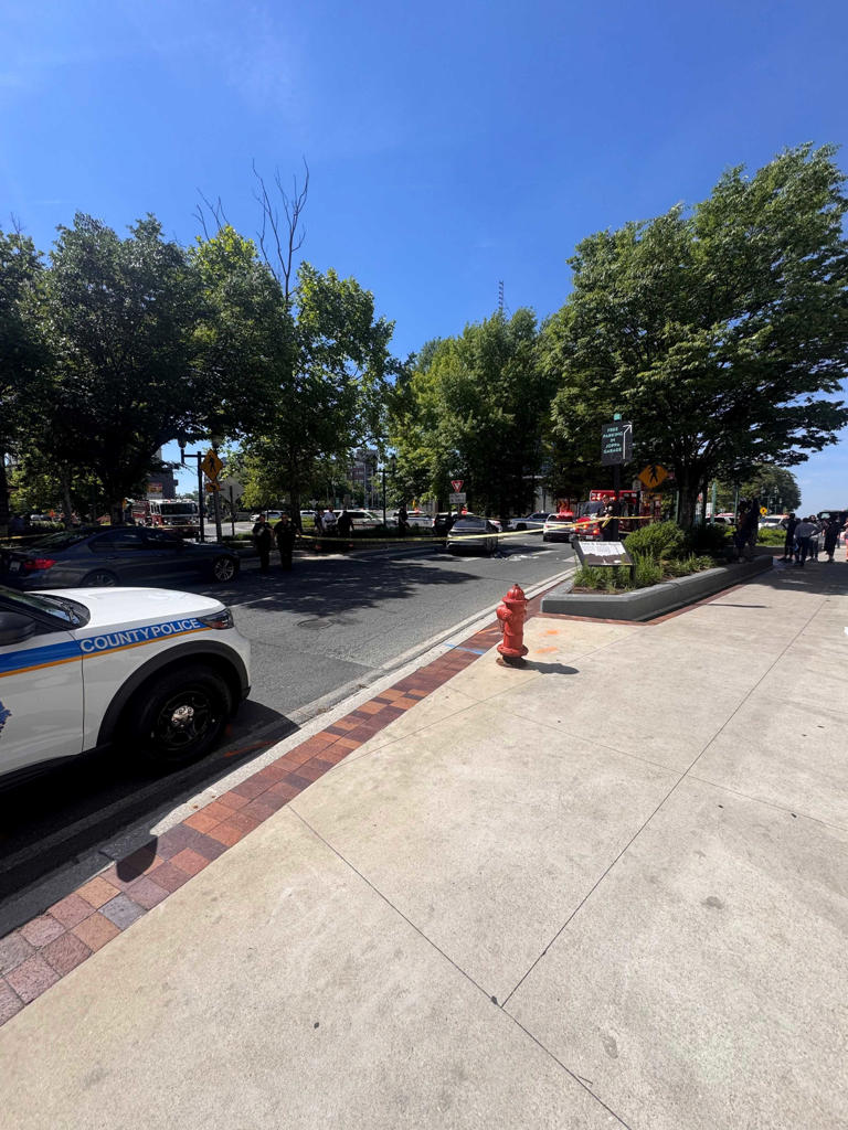 Towson student shot, killed on York Road near Towson Circle