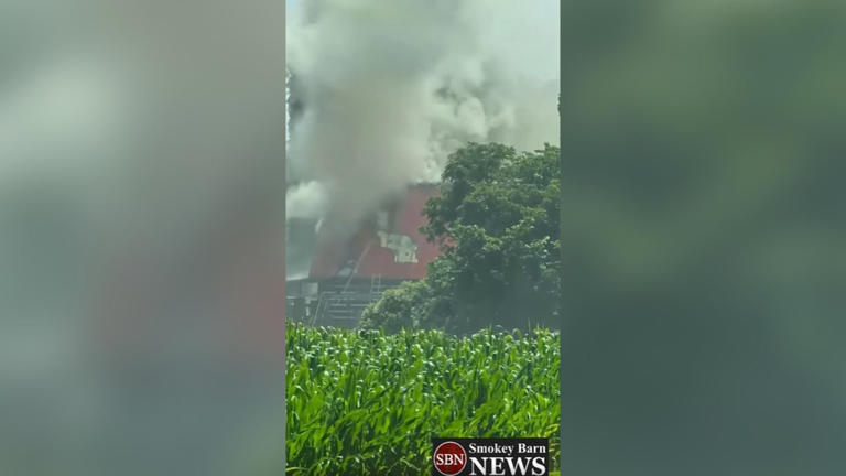 Several dogs rescued from Adams house fire
