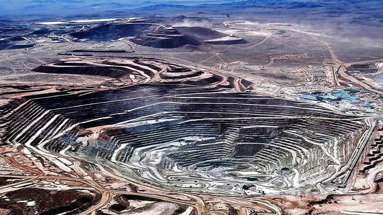 Polémica por Vicuña: la mayor inversión minera de Argentina importará ...