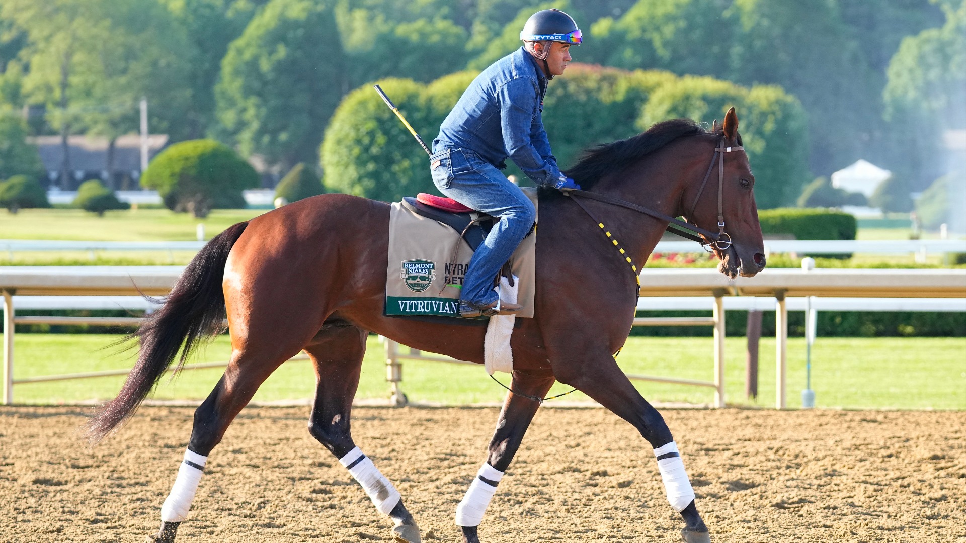 Vitruvian Man's long-shot odds in 2026 Belmont Stakes