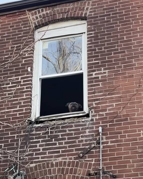 Woman passing abandoned house sees little face in the window staring ...