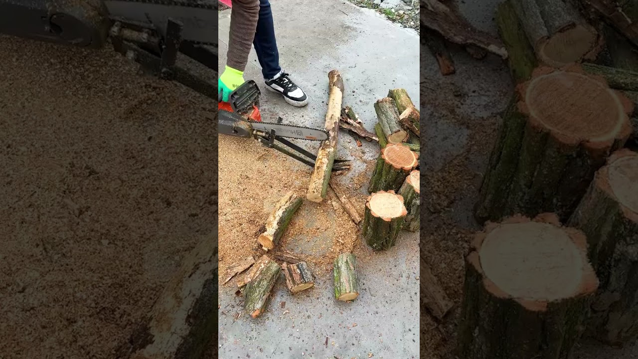 Watch chainsaw masters at work! 🏆