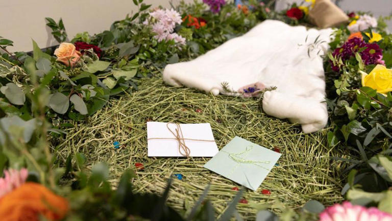 Human composting and water cremation considered to tackle burial space ...