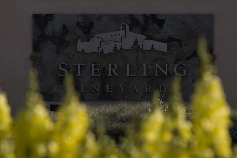 Famed Napa Valley vineyards face doomsday reckoning as mammoth ...