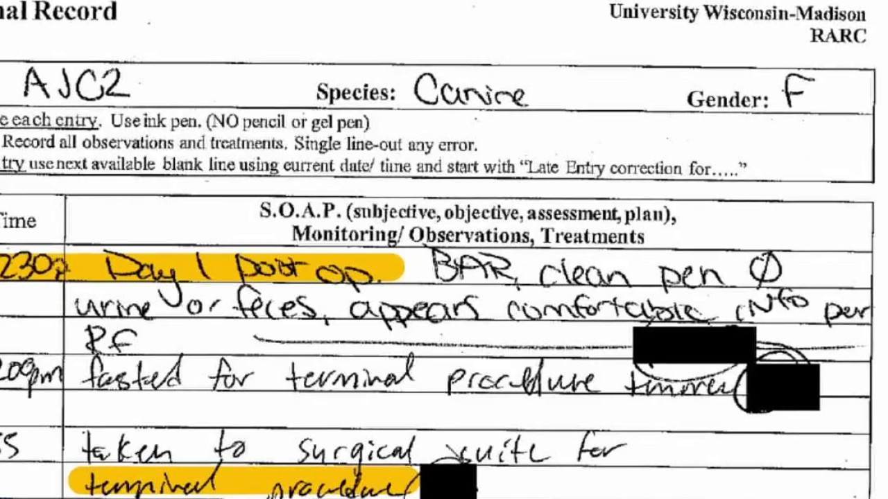 Ridglan Farms beagles sacrificed in painful experiments at UW-Madison