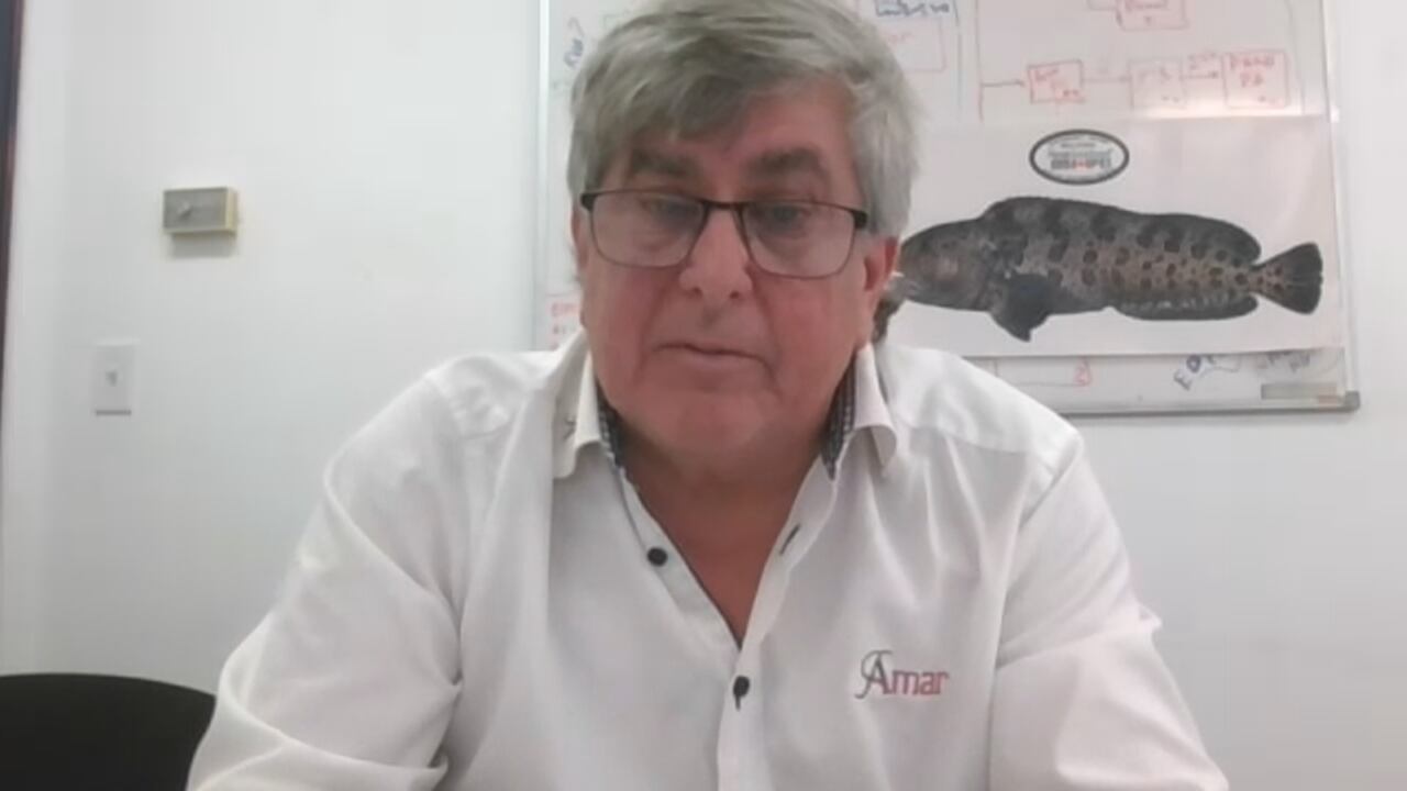 Amar Seafood expected to finally break ground on expansion of ...