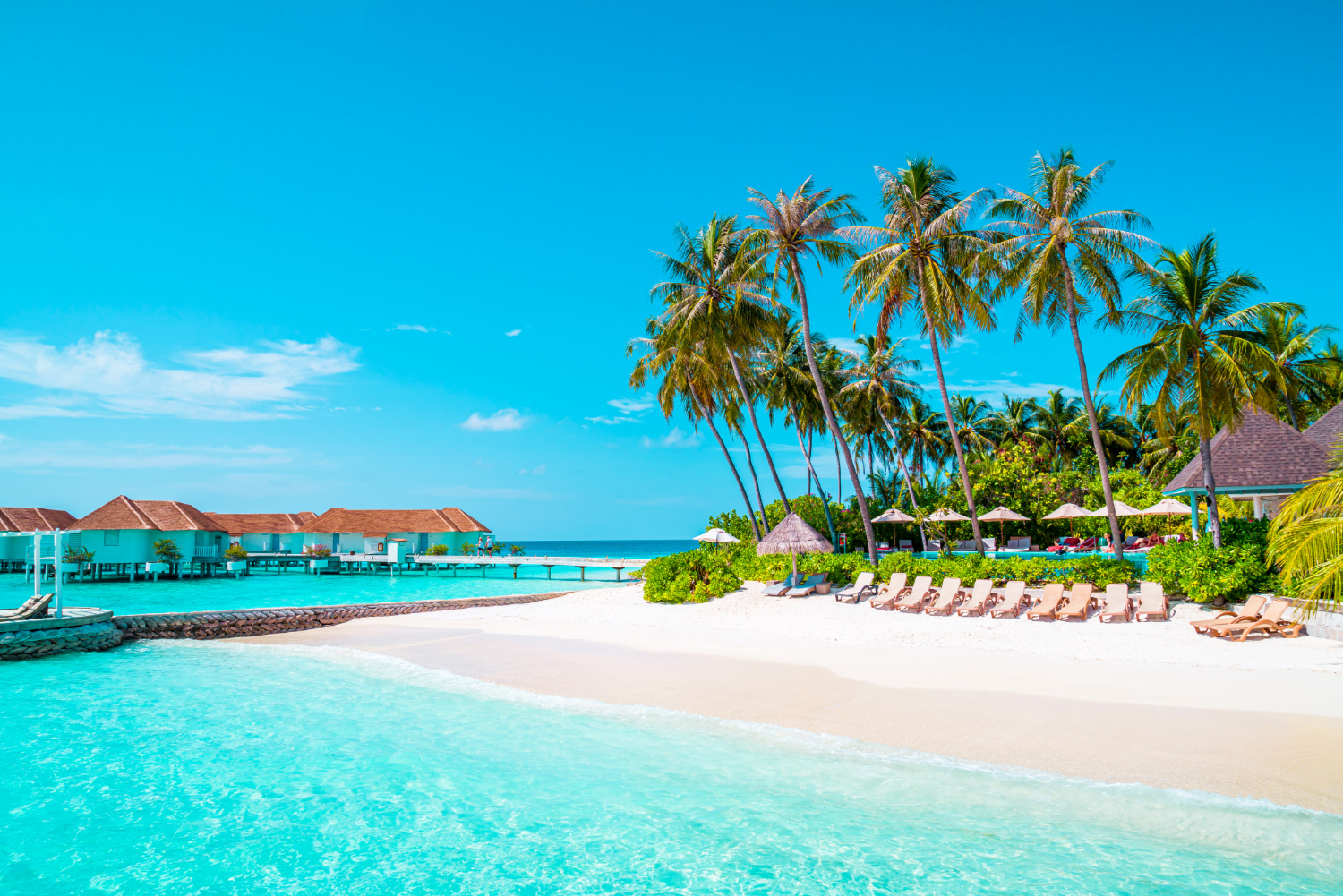 From tropical islands to ancient cities: Bucket-list trips worth ...
