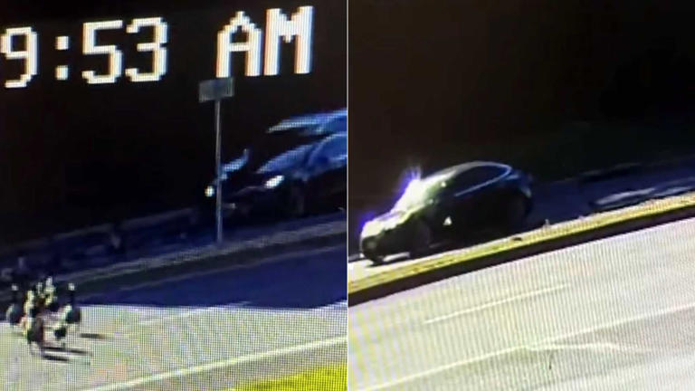 Video shows Tesla hitting geese in Joppa, killing them