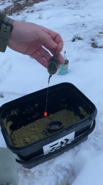 Best carp rig setup for feeder fishing