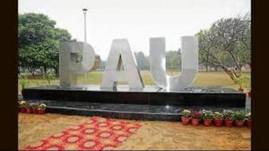 Ludhiana: PAU warns farmers against hidden pest in net, polyhouses