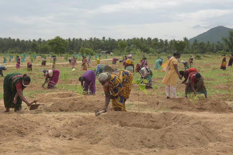World Environment Day: Taking the green route to farm life