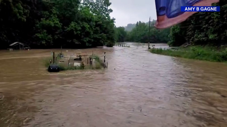 Parrottsville couple cleaning up after hobby farm turned into flood zone