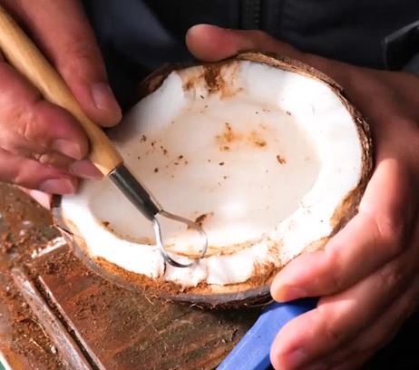 Crafting nature's wonders: Transform coco materials into artful ...