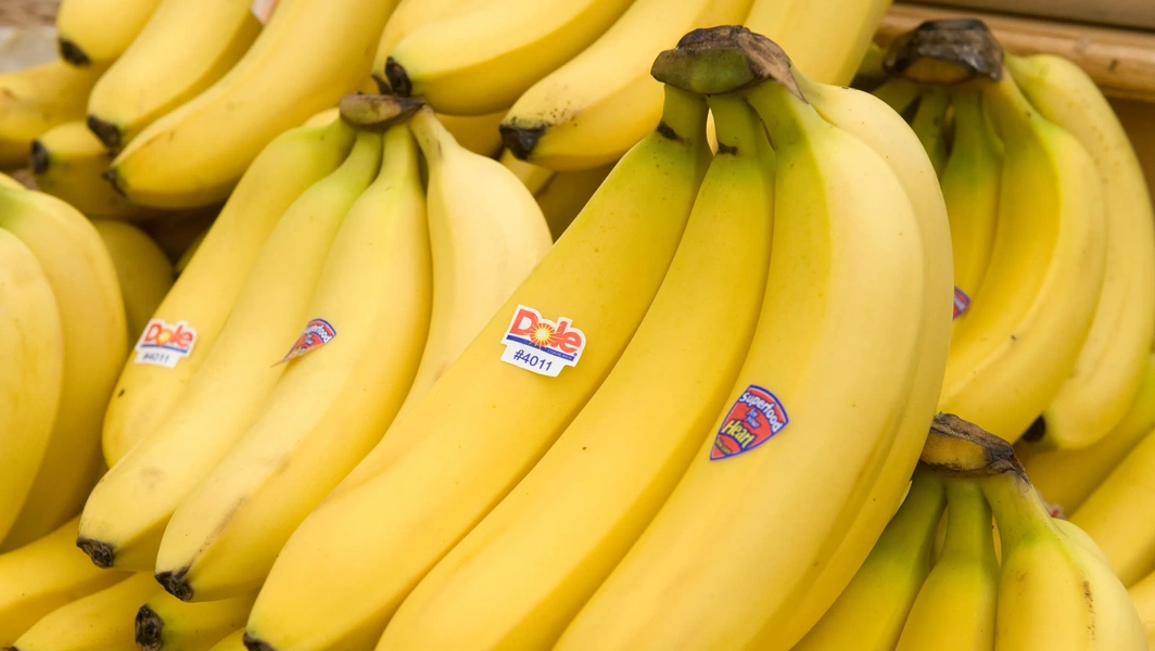 19 simple foods to boost health and nutrition