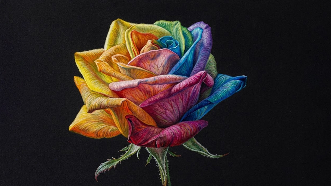 Dreamy rainbow rose art in pastels | Easy flower drawing techniques