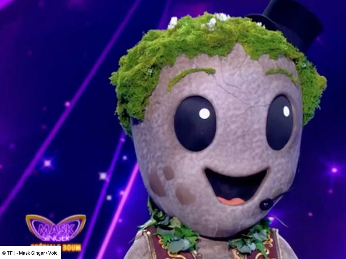 Mask Singer : Découvrez quelle personnalité se cachait sous le costume ...