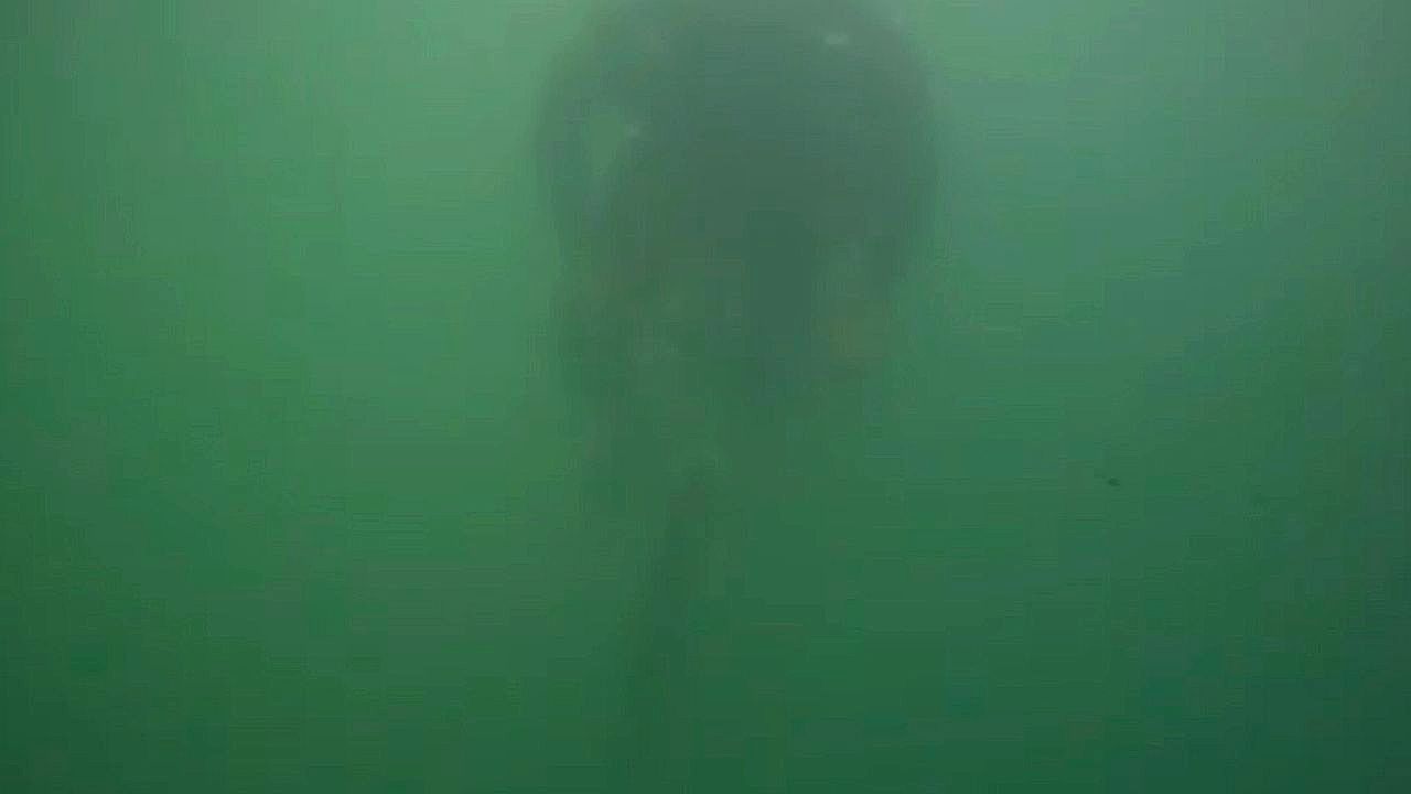 Scuba divers ride bicycles underwater to mark World Bicycle Day in India