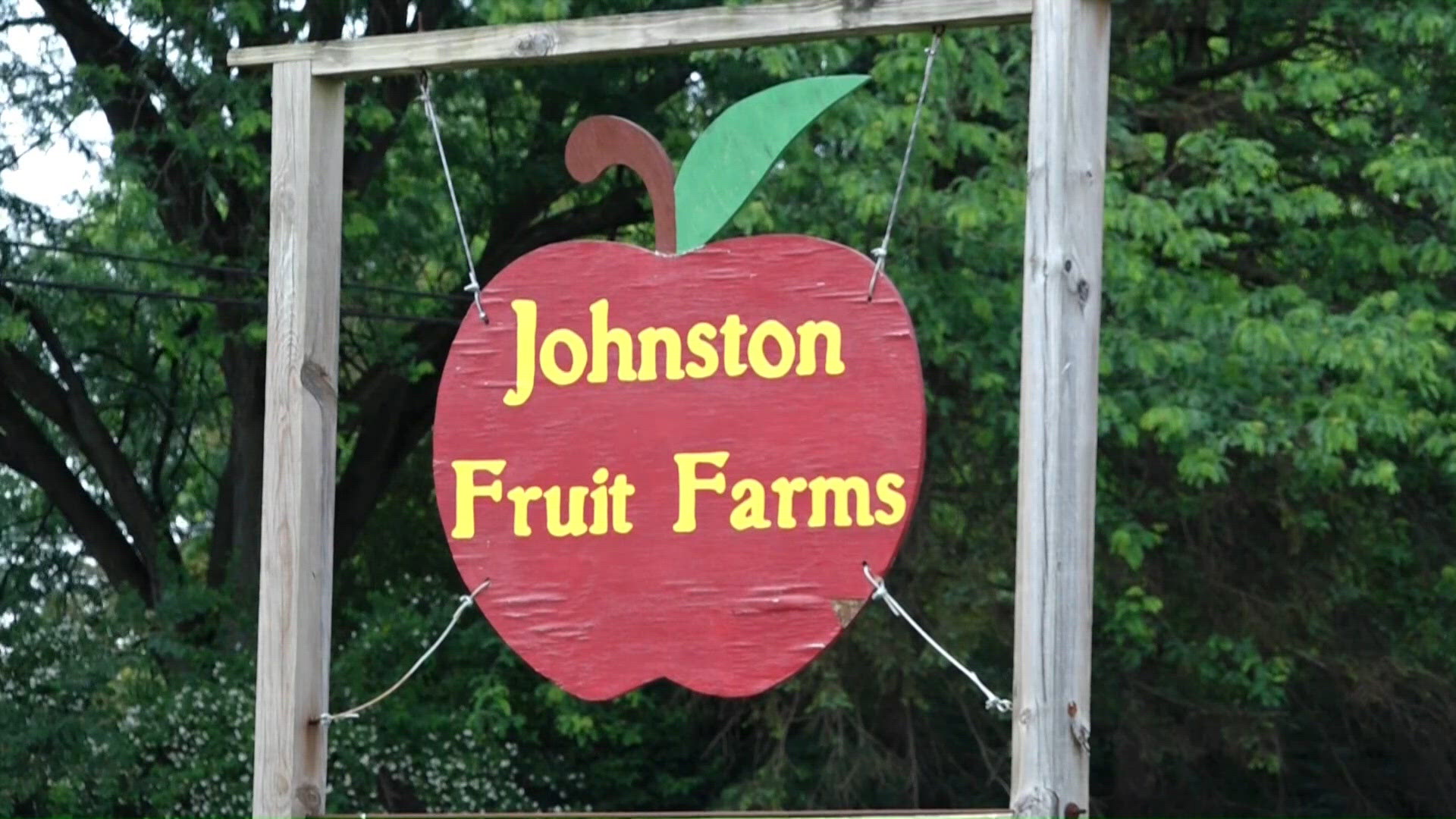 A berry sweet strawberry picking season in Northwest Ohio