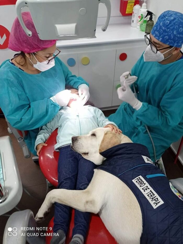 47 candid pet moments instantly caught on camera