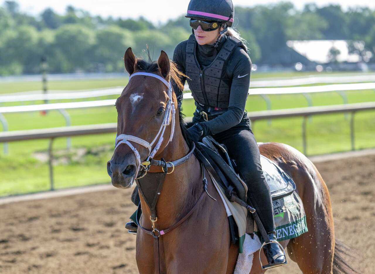 Golden Tempo vs. Renegade rematch headlines final Belmont Stakes at ...