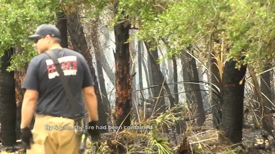 Brush fire prompts evacuations of homes in Venice neighborhood