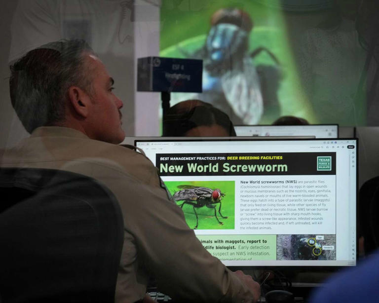 New World screwworm: Gov. Greg Abbott expands disaster declaration ...
